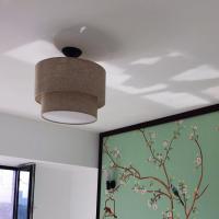 China Bedroom Contemporary Dining Room Pendant Light AC265V Switch Control for sale