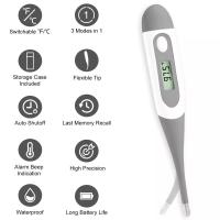 China Portable Oral Underarm Armpit Rectal Test Baby Child Kid Adult Fever Digital Thermometer for sale