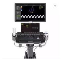China 2D 3D 4D Echocardiography Cardiac Trolley Echo Color Doppler Ultrasound Machine for sale