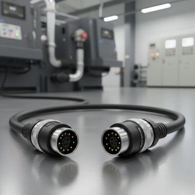 China Multi Pin Power Cord Featuring Secure Locking Connectors Suitable for Complex Electrical Systems and Industrial Machinery for sale
