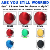China 16/19/22mm Stainless Steel Self-Resetting Push Button Switch IP65 Level 220V Max Voltage Mushroom Head Screw Foot 1NO Switch for sale