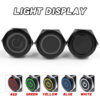 China 22mm Metal Button Switch Oxidized Black Waterproof IP65 Self-resetting 1NO Flat Head/High Head for sale