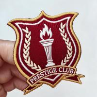 China Custom Embroidered Patches Heat Transfer Designed for Durable Washable with Multiple Color Options for Ski Wear and Uniforms for sale