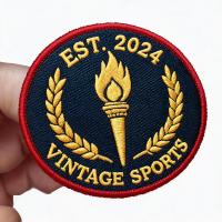 China Custom Embroidered Patches Heat Transfer Designed for Durable Washable with Multiple Color Options for Ski Wear and Uniforms for sale