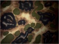 China Waterproof 4mm CR Neoprene Sponge Rubber with Camo Nylon Fabric - 51x130 Inch, 150% Elongation for sale