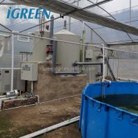 China Indoor Recirculating Aquaculture System Galvanized Steel Tank RAS Shrimp Farming for sale