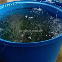 China Indoor Recirculating Aquaculture System Galvanized Steel Tank RAS Shrimp Farming for sale