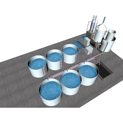 China Indoor Ras Fish Farming System Eco Friendly With Hydroponics Compatibility for sale