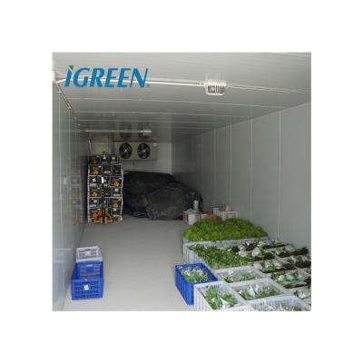 China Hydroponics Vegetable And Flower Cold Storage Room Walk In Freezer Customization for sale