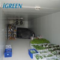 China Hydroponics Vegetable And Flower Cold Storage Room Walk In Freezer Customization for sale