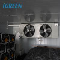 China Hydroponics Vegetable And Flower Cold Storage Room Walk In Freezer Customization for sale