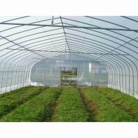 China Shoulder Height 2.5m Agricultural Greenhouse 275gsm Zinc Coating Plastic Film Greenhouse for sale