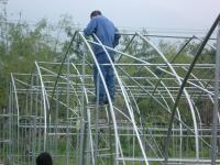China Shoulder Height 2.5m Agricultural Greenhouse 275gsm Zinc Coating Plastic Film Greenhouse for sale