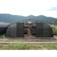 China Film Type Mushroom Growing Greenhouse Customizable With High Shoulder Height for sale