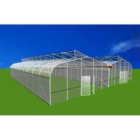 China Customized Multi Span Greenhouse Light Deprivation Greenhouse Large Glass Film Type for sale