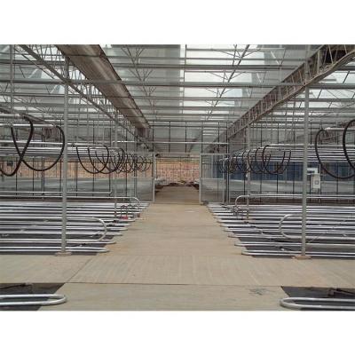 China Galvanized Steel Pipe Multi Span Greenhouse Vegetable Greenhouse Kits For Winter Cover for sale