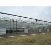 China Galvanized Steel Pipe Multi Span Greenhouse Vegetable Greenhouse Kits For Winter Cover for sale