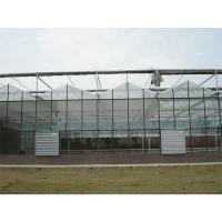 China Galvanized Steel Pipe Multi Span Greenhouse Vegetable Greenhouse Kits For Winter Cover for sale