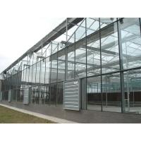 China Galvanized Steel Pipe Multi Span Greenhouse Vegetable Greenhouse Kits For Winter Cover for sale