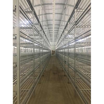 China Customized Agricultural Equipment Plastic Film Cover Mushroom Green House for sale