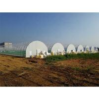 China Customized Agricultural Equipment Plastic Film Cover Mushroom Green House for sale