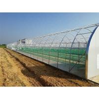 China Customized Agricultural Equipment Plastic Film Cover Mushroom Green House for sale
