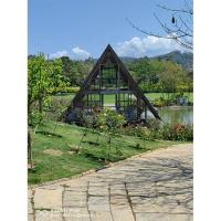 China Film Surface Custom Garden Geodesic Dome Greenhouse Galvanized Steel with Grow Tent for sale