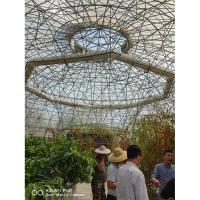 China Film Surface Custom Garden Geodesic Dome Greenhouse Galvanized Steel with Grow Tent for sale