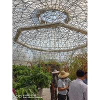 China Film Surface Custom Garden Geodesic Dome Greenhouse Galvanized Steel with Grow Tent for sale