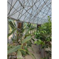 China Film Surface Custom Garden Geodesic Dome Greenhouse Galvanized Steel with Grow Tent for sale