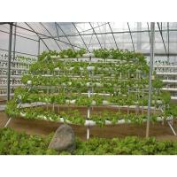 China Customizable Electricity Vertical Hydroponic System For Indoor Plant Growing for sale