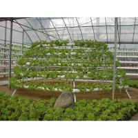 China Customizable Electricity Vertical Hydroponic System For Indoor Plant Growing for sale