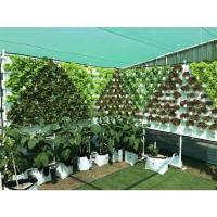 China Film Type Vertical Hydroponic Growing System Single Span For 5m Roof Height for sale