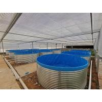 China Commercial Recirculating Aquaculture System Customized Ras System Aquaculture for sale