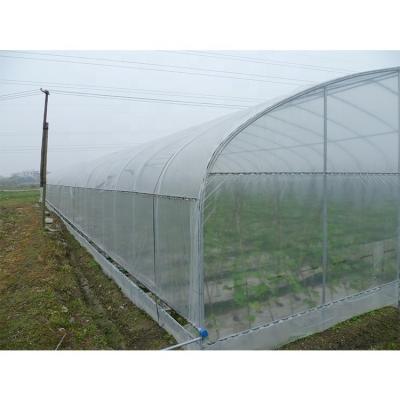 China 3.3m Height Metal Frame Greenhouse 300sqm Customization For Strawberry for sale