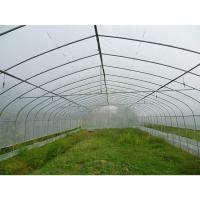 China 3.3m Height Metal Frame Greenhouse 300sqm Customization For Strawberry for sale