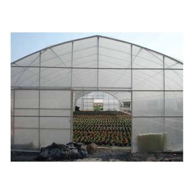 China Single Layer Plastic Film Greenhouse Versatile For Agricultural Applications for sale