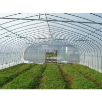 China Single Layer Plastic Film Greenhouse Versatile For Agricultural Applications for sale
