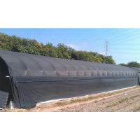 China Film Type Agricultural Equipment 10m Tunnel Width Insect Net Greenhouse for sale