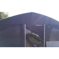 China Film Type Agricultural Equipment 10m Tunnel Width Insect Net Greenhouse for sale
