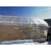 China 5m Height Mushroom Growing Greenhouse Plastic Mesh For Insect Resistance And Roof Ventilation for sale