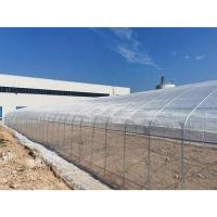 China 5m Height Mushroom Growing Greenhouse Plastic Mesh For Insect Resistance And Roof Ventilation for sale