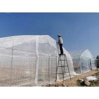 China 5m Height Mushroom Growing Greenhouse Plastic Mesh For Insect Resistance And Roof Ventilation for sale