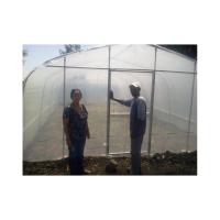China 200micron Plastic Film Greenhouse Simple Installation For Home Gardening for sale