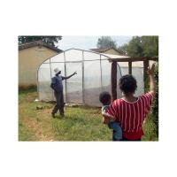 China 200micron Plastic Film Greenhouse Simple Installation For Home Gardening for sale