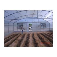 China 200 Micron Single Span Greenhouse High Capacity Plastic Film Greenhouse for sale