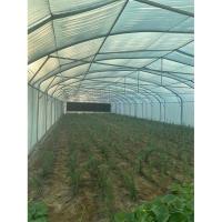 China 200 Micron Single Span Greenhouse High Capacity Plastic Film Greenhouse for sale