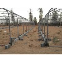 China 200 Micron Single Span Greenhouse High Capacity Plastic Film Greenhouse for sale
