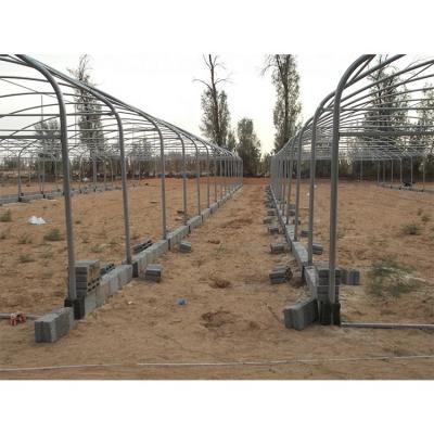 China 3.3m Height Single Span Greenhouse Vegetable Growing Greenhouse With Hydroponic Systems for sale