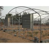 China 3.3m Height Single Span Greenhouse Vegetable Growing Greenhouse With Hydroponic Systems for sale